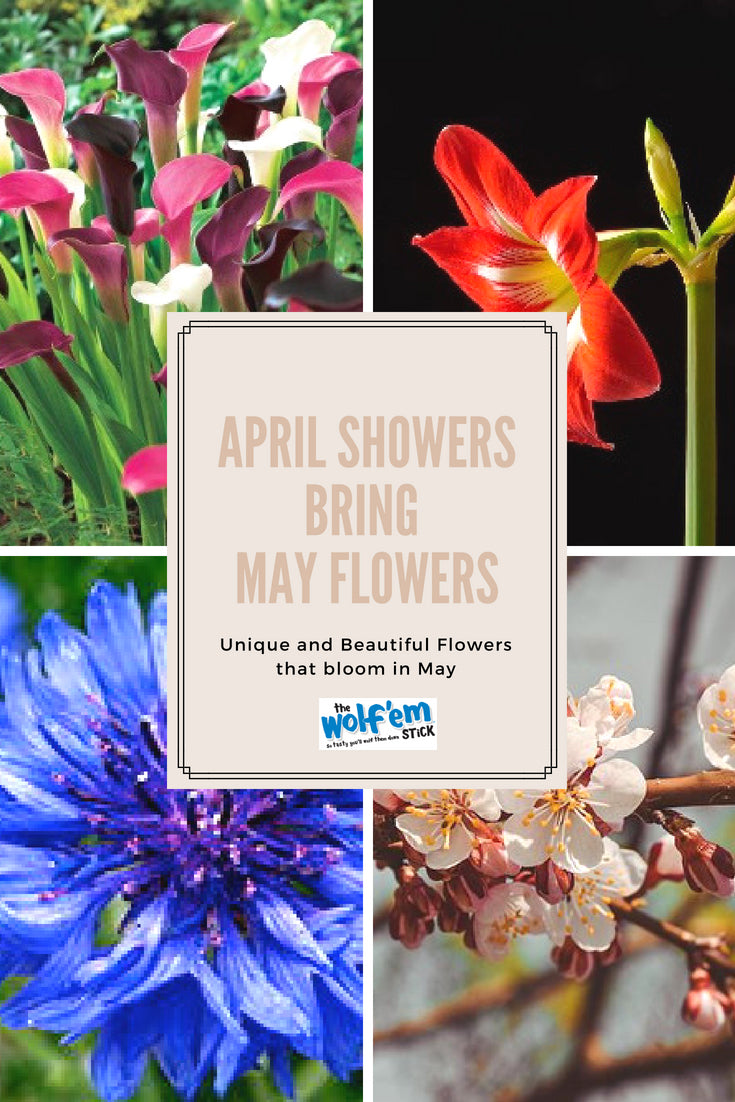 May Flowers – The Wolf'em Store